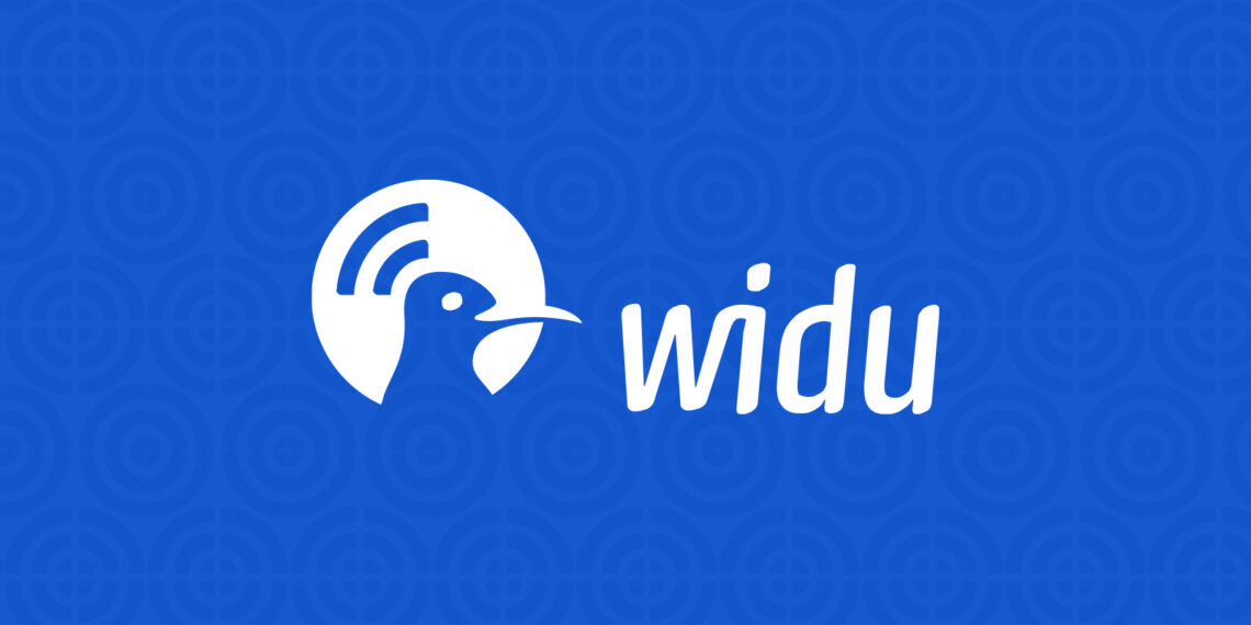 WIDU.africa : La diaspora tunisienne qui soutient les entrepreneur·e·s ...